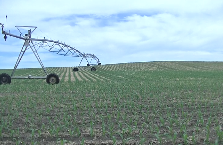 Irrigated production systems - Ogallala Water